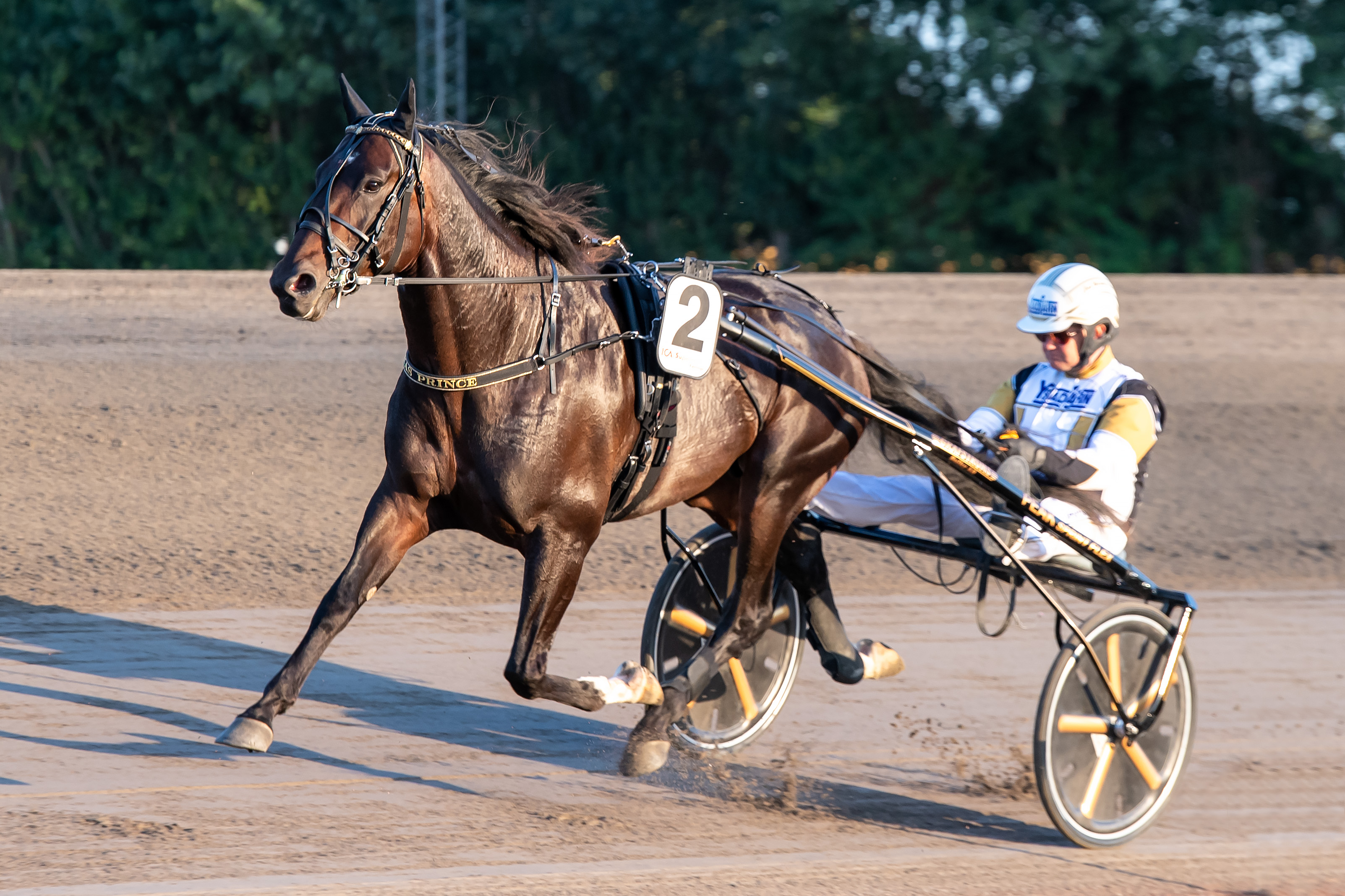 V75® Spring Race (Friday): Going for a pink ticket