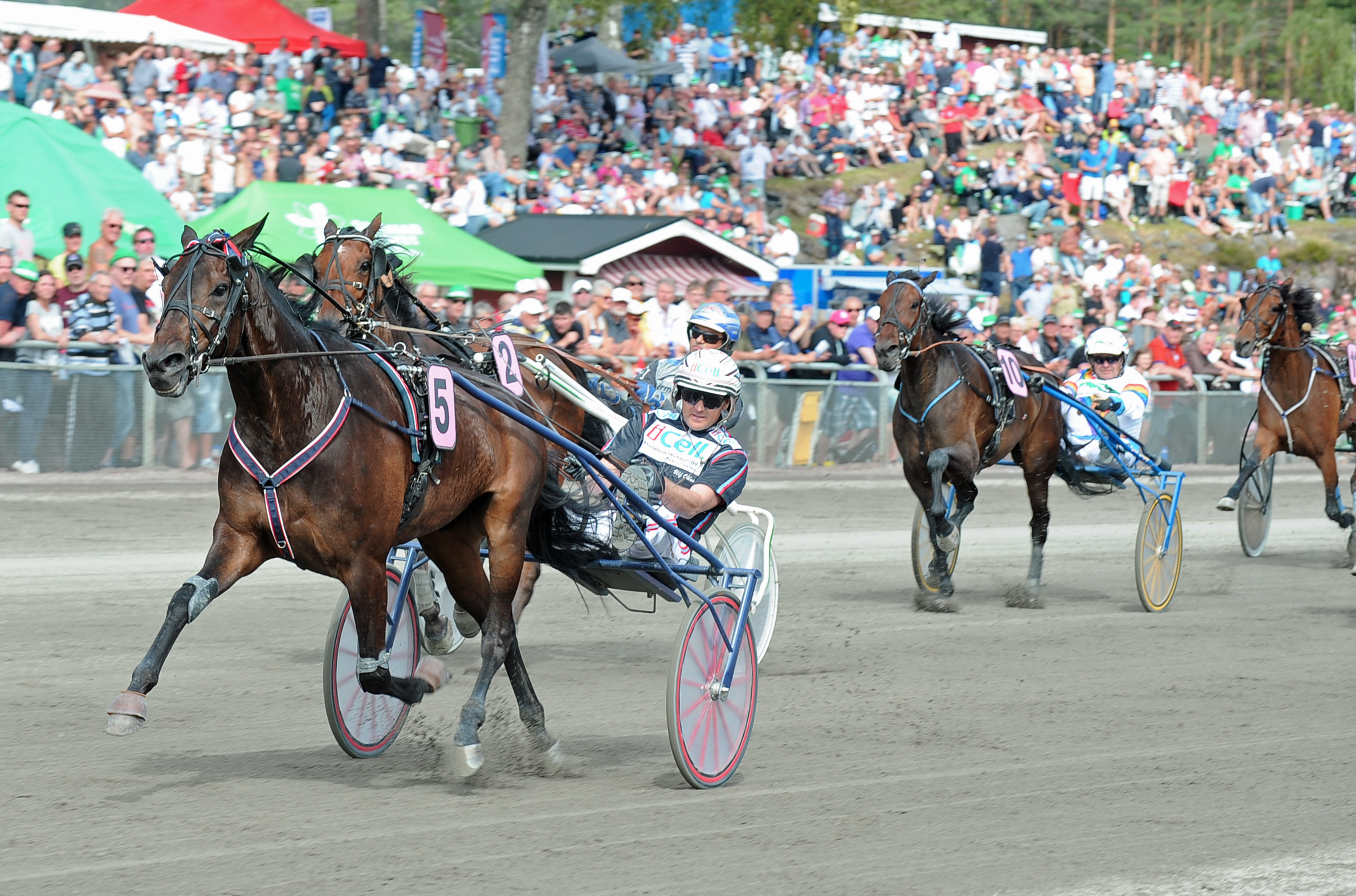 V75®: High pressure and great trotters – the track record could fall